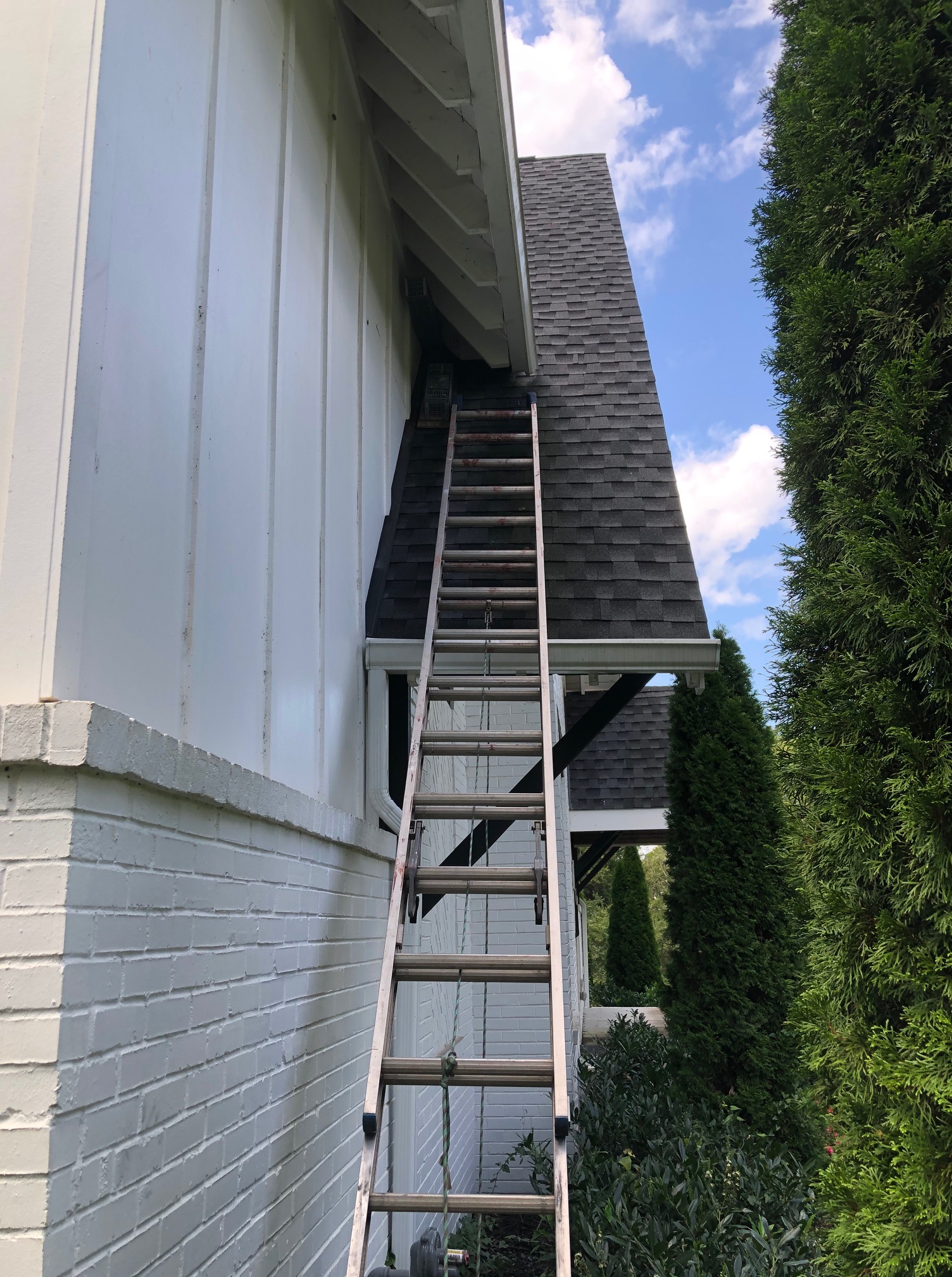 Our Services Start with Inspections – Halker's Wildlife Control